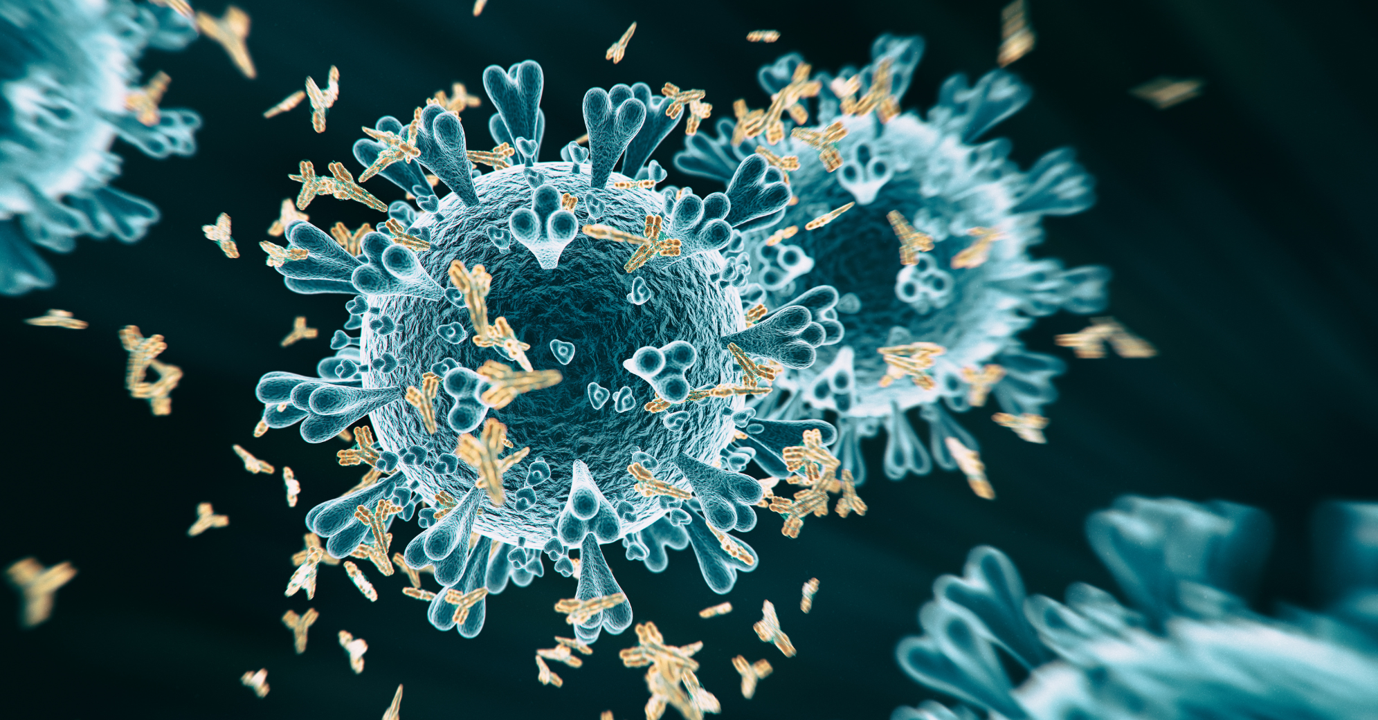 How to Test for Epstein-Barr Virus: What Your Results Really Mean ...